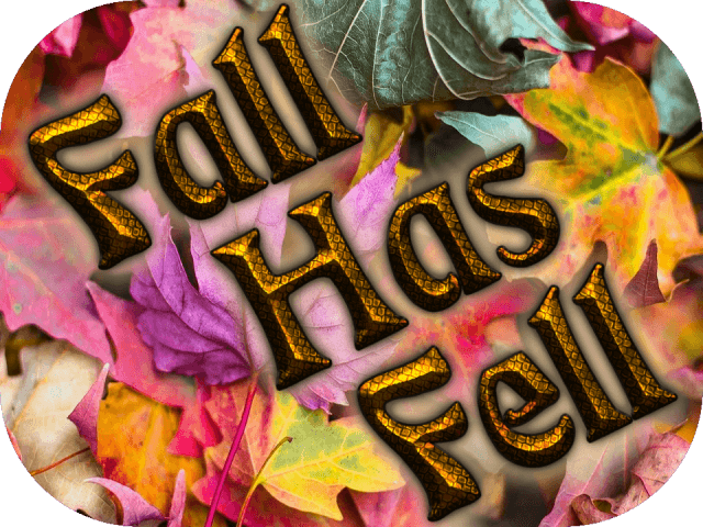 Fall Has Fell | Rob Knowlan