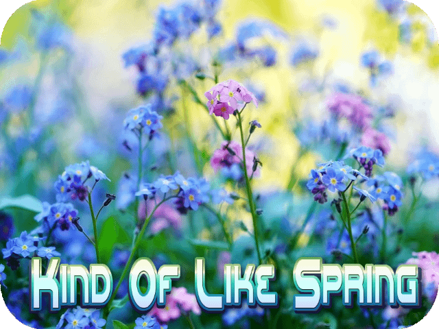 Kind Of Like Spring | Rob Knowlan